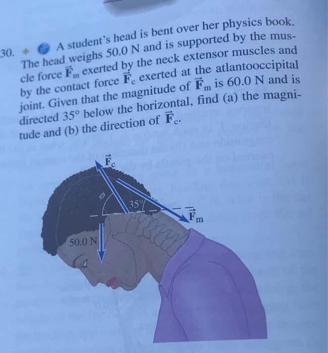 Solved A student's head is bent over her physics book. The | Chegg.com