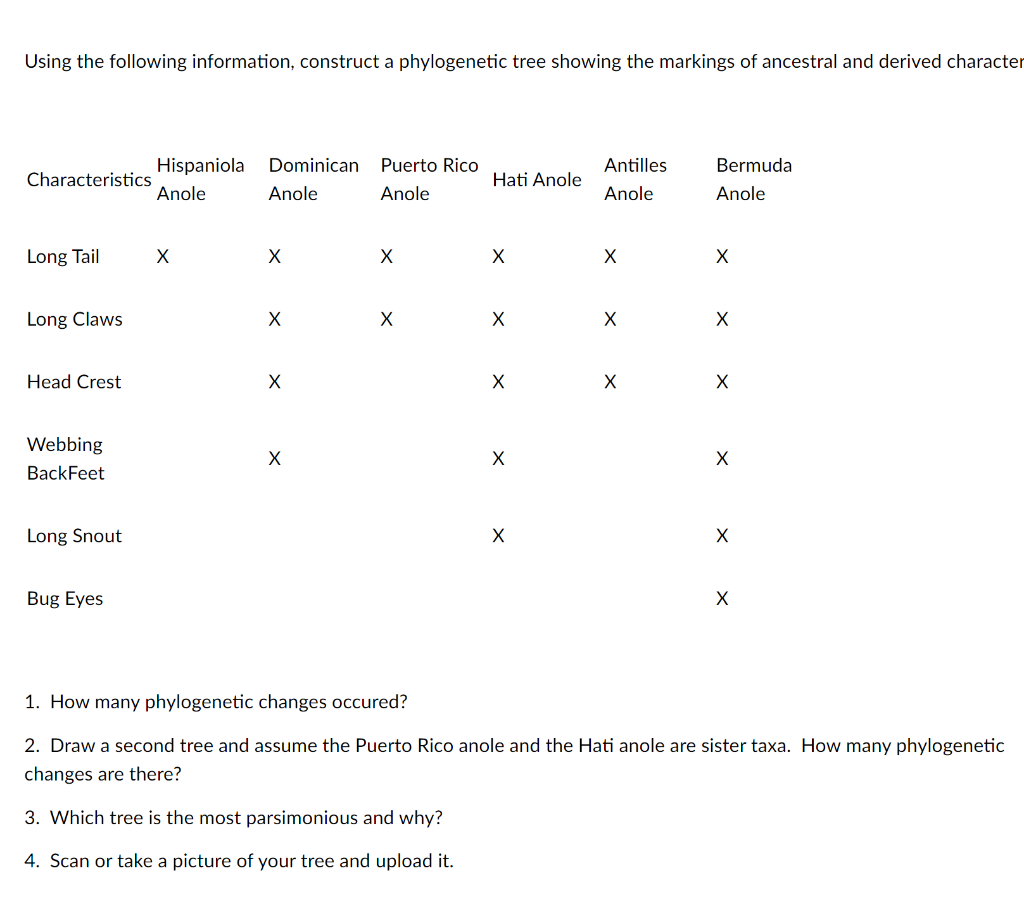 Solved Using the following information, construct a | Chegg.com