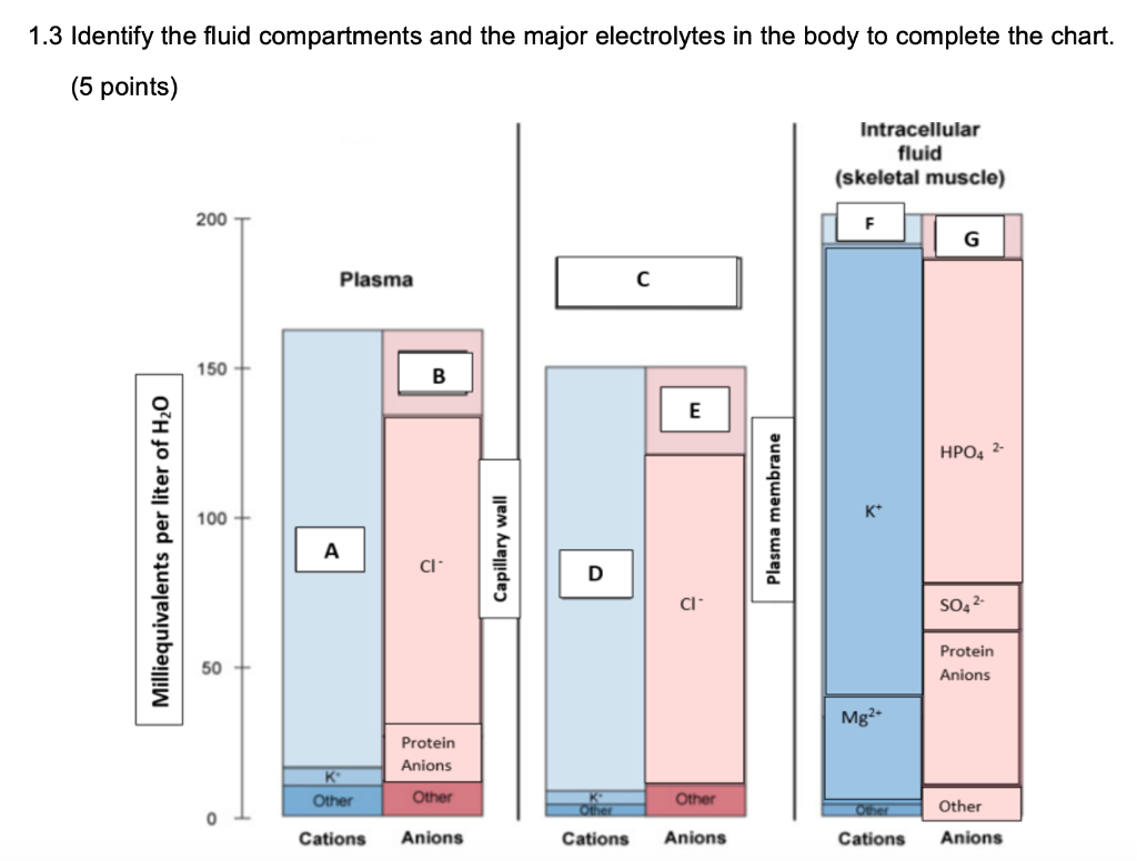 Solved 1.3 Identify the fluid compartments and the major | Chegg.com