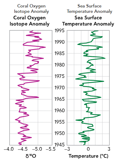 Solved SEP Analyze and Interpret Data For coral 18O and for | Chegg.com
