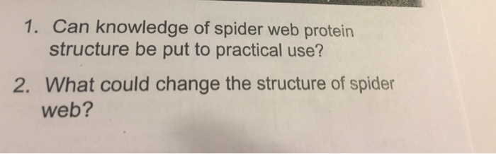 Solved Can knowledge of spider web protein structure be put | Chegg.com