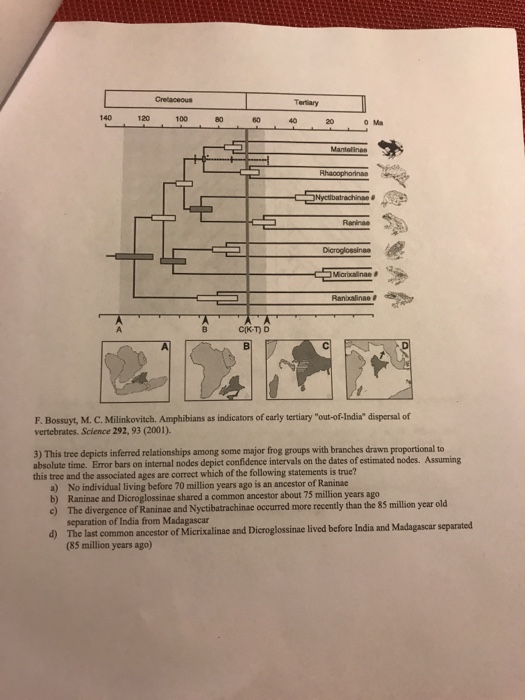 Solved Tree thinking quiz D. A. Baum, S. D. Smith, and S. D. | Chegg.com