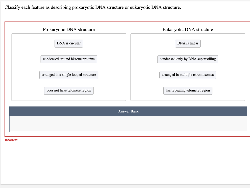 Solved Classify each feature as describing prokaryotic DNA | Chegg.com
