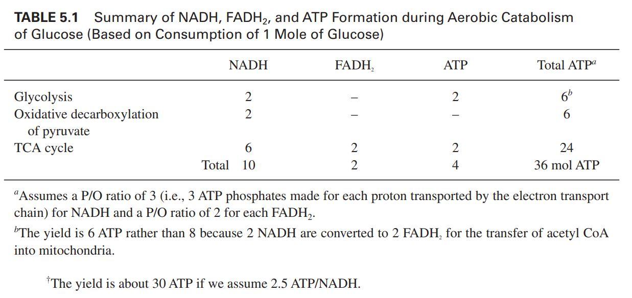 Solved #2: ATP Generation Table 5.1 presents the total | Chegg.com