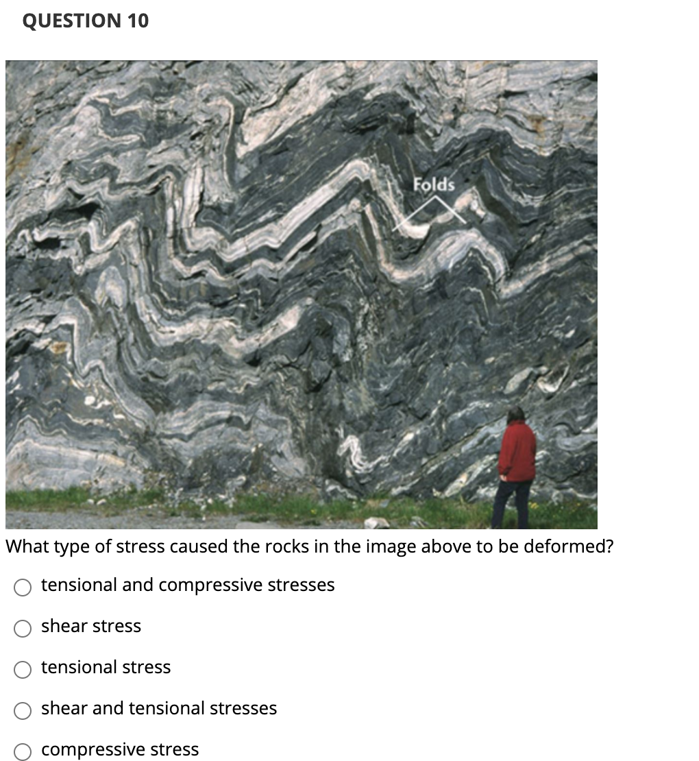 Solved QUESTION 10 Folds What type of stress caused the | Chegg.com