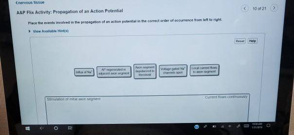 Solved nervous tissue 10 of 21 A&P Flix Activity: | Chegg.com