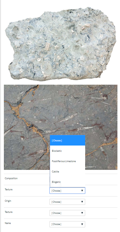 Solved [Choose] Bioclastic Fossiliferous Limestone Calcite | Chegg.com