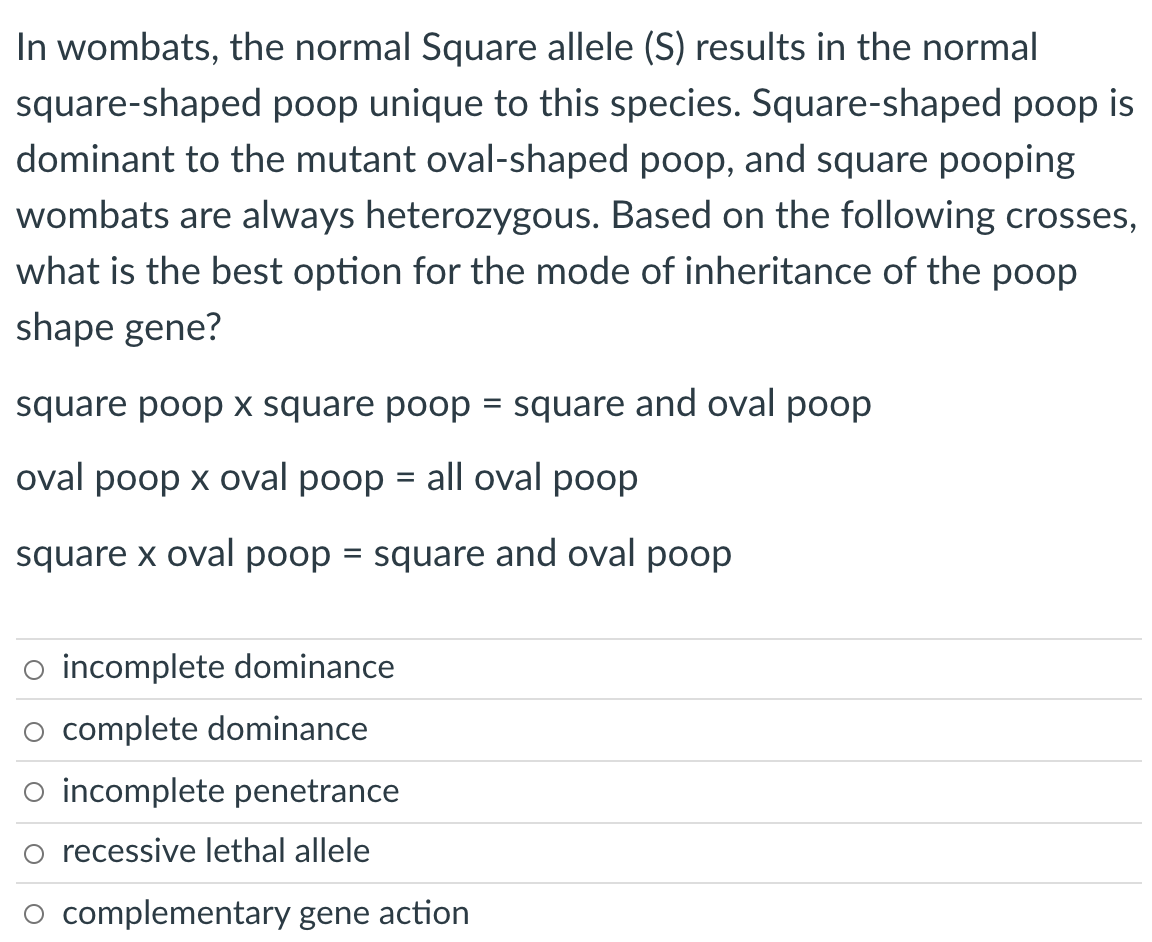 Solved In wombats, the normal Square allele (S) results in | Chegg.com