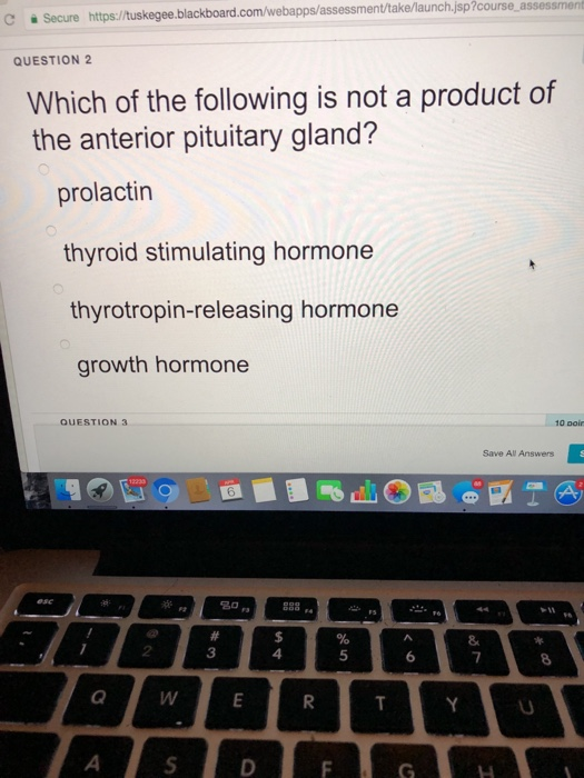 Solved C Secure | Chegg.com