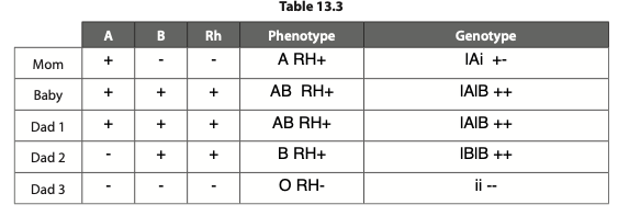 Solved Table 13.3 A B Rh Phenotype A RH+ Genotype IAI + + | Chegg.com