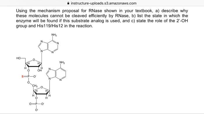 instructure-uploads.s3.amazonaws.com Using the | Chegg.com