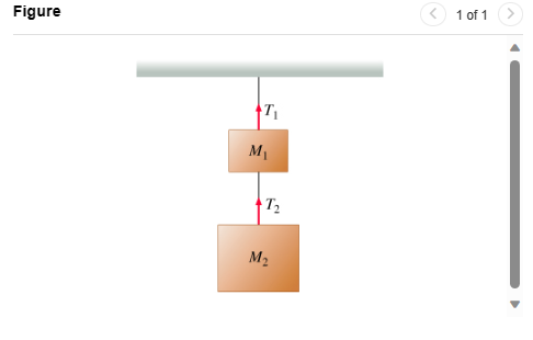 Solved Two blocks with masses M1 and M2 hang one under the | Chegg.com