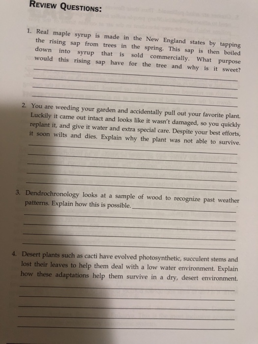 Solved REVIEW QUESTIONS: 1. Real maple syrup is made in the | Chegg.com