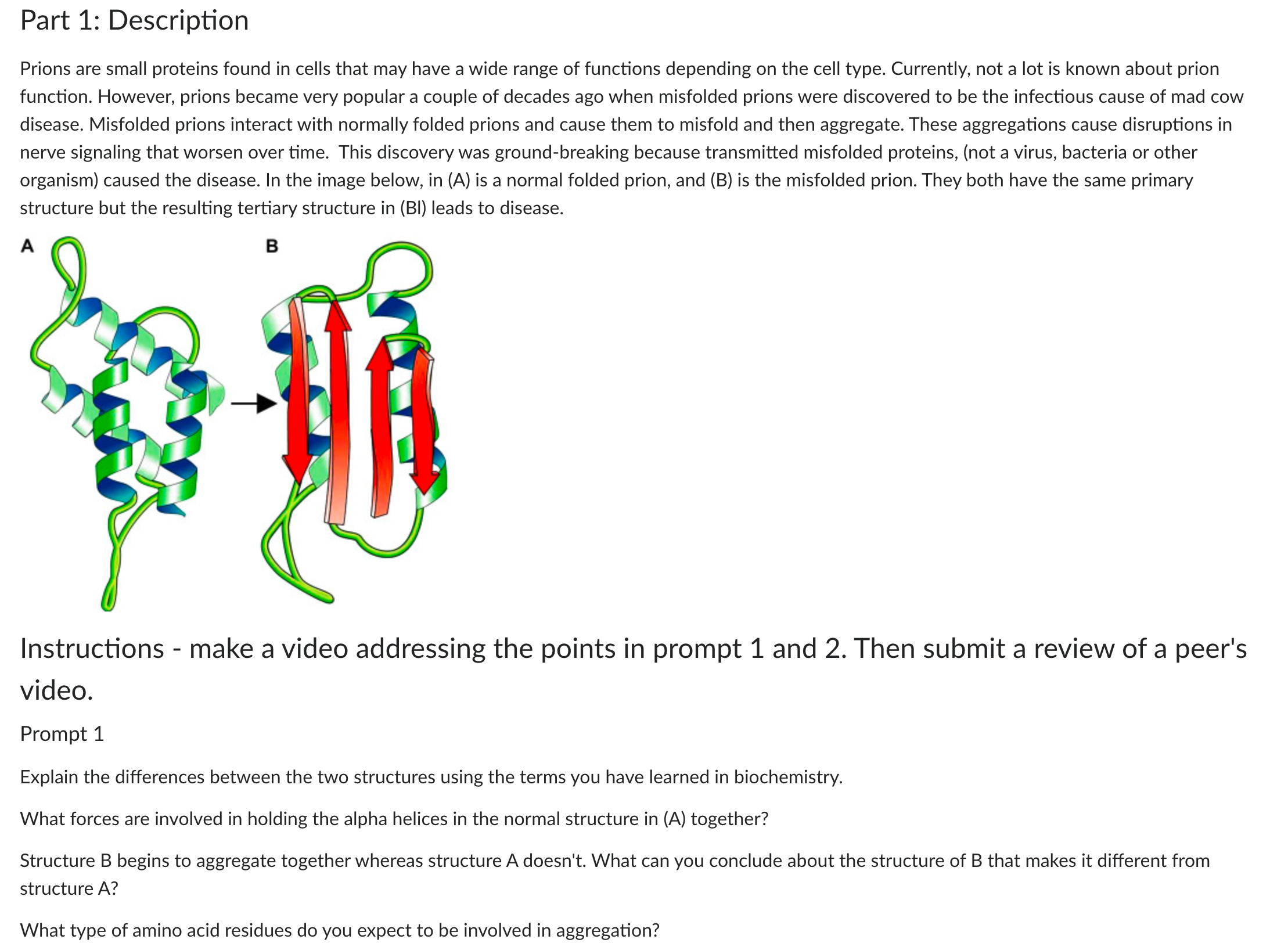 Solved Prions are small proteins found in cells that may | Chegg.com