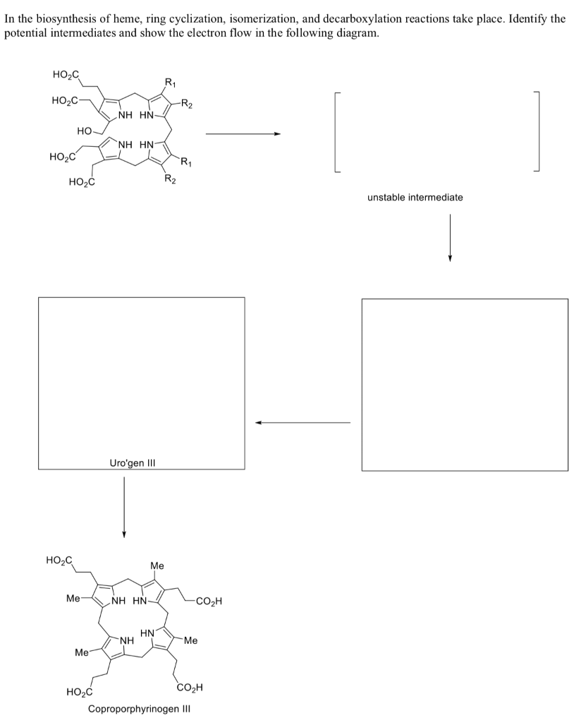 Solved In the biosynthesis of heme, ring cyclization, | Chegg.com
