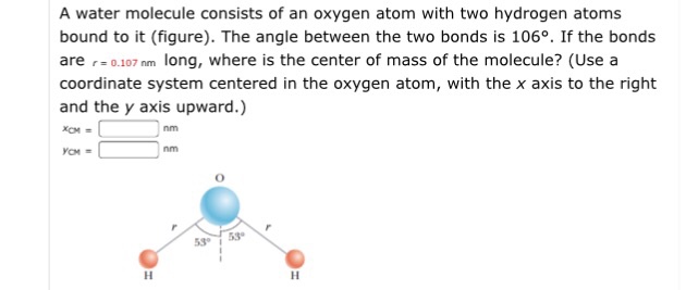 Solved A water molecule consists of an oxygen atom with two | Chegg.com