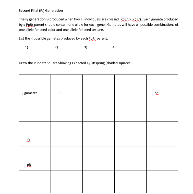 Solved Second Filial (F2) Generation The F2 generation is | Chegg.com
