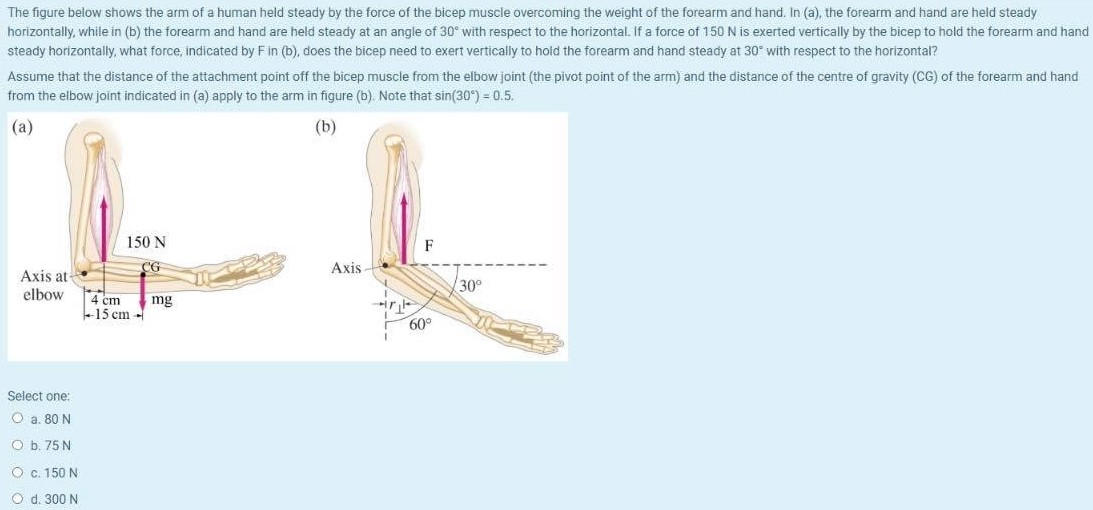 Solved The figure below shows the arm of a human held steady | Chegg.com