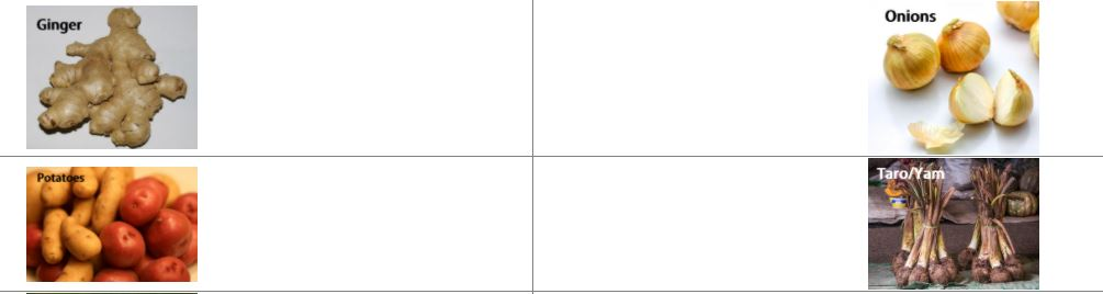 Solved Section 3: Examination of sections of old tree trunks | Chegg.com