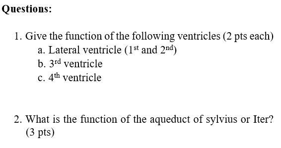 Solved VENTRICLES OF THE FROG BRAIN (QUESTIONS) Give the | Chegg.com