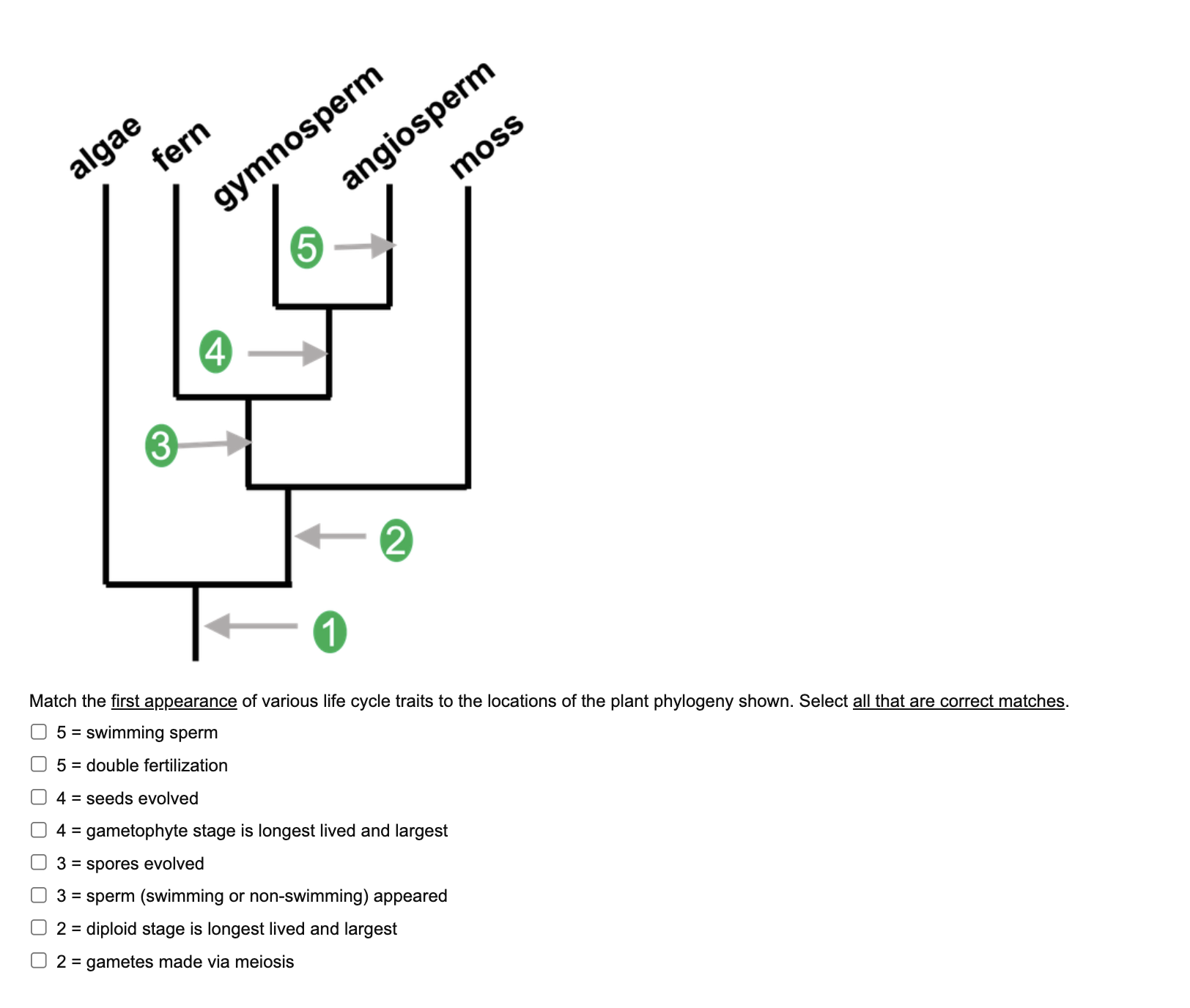 Solved algae fern angiosperm moss gymnosperm 5 - 4 3 2 O | Chegg.com