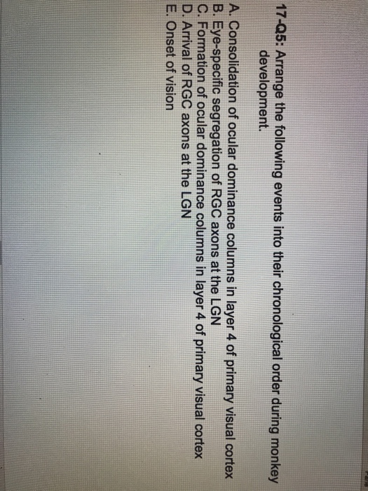 Solved 17-Q5: Arrange the following events into their | Chegg.com