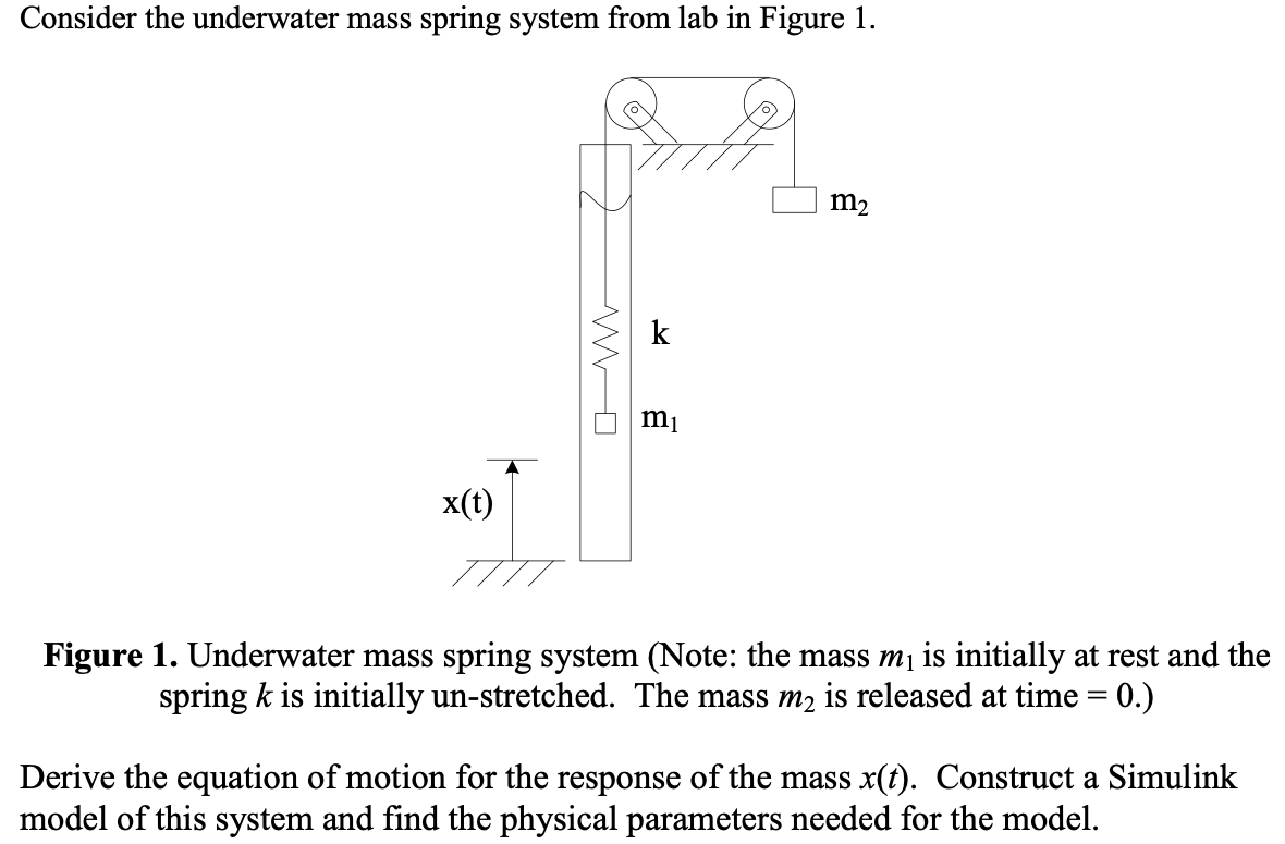 Consider the underwater mass spring system from lab | Chegg.com