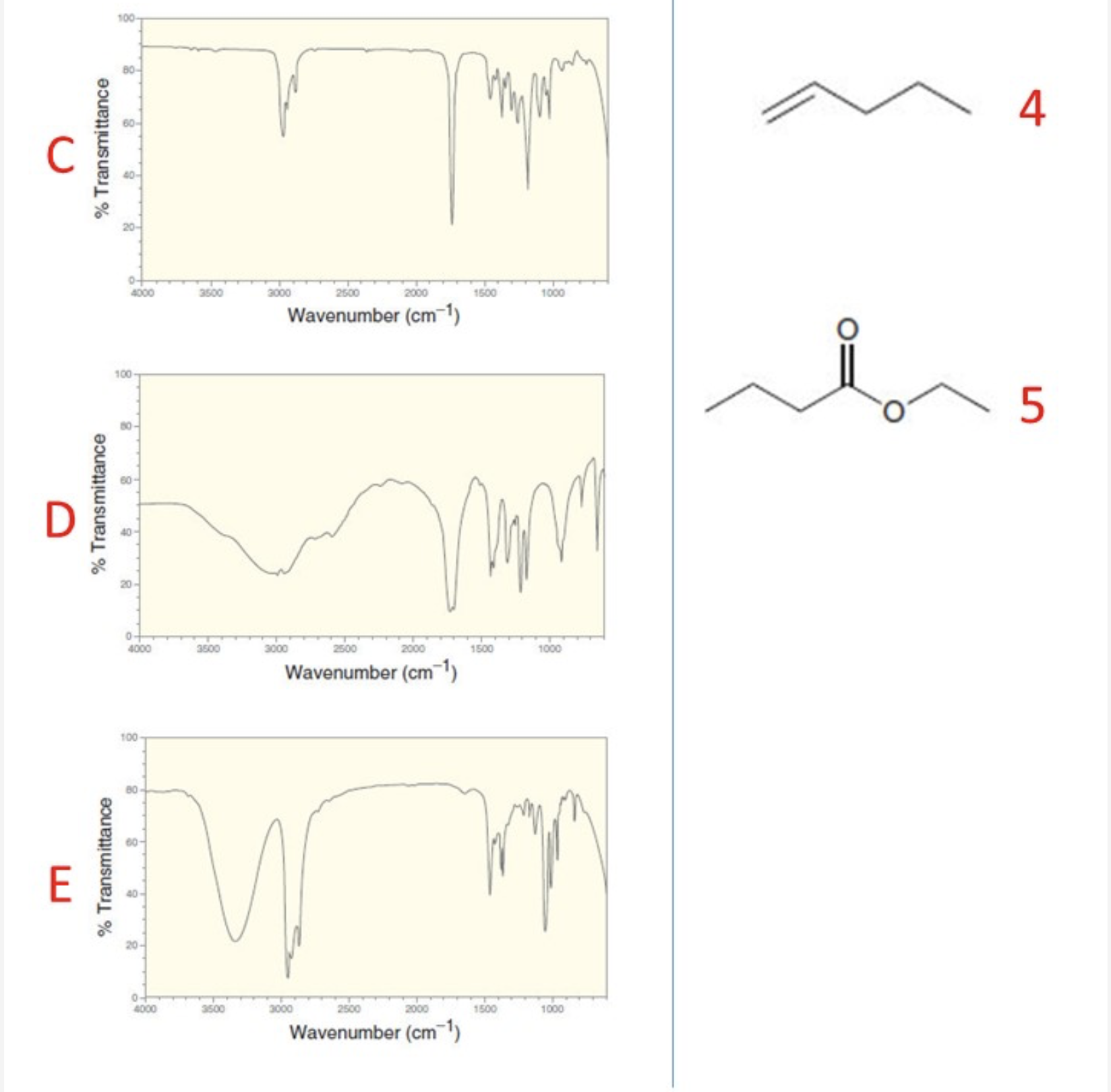 Question 16 | Chegg.com