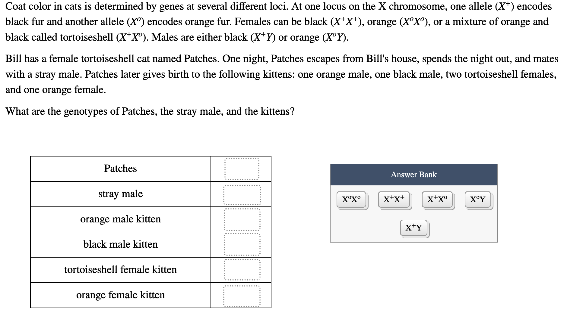 Solved Chapter 4 Homework Coat color in cats is determined | Chegg.com