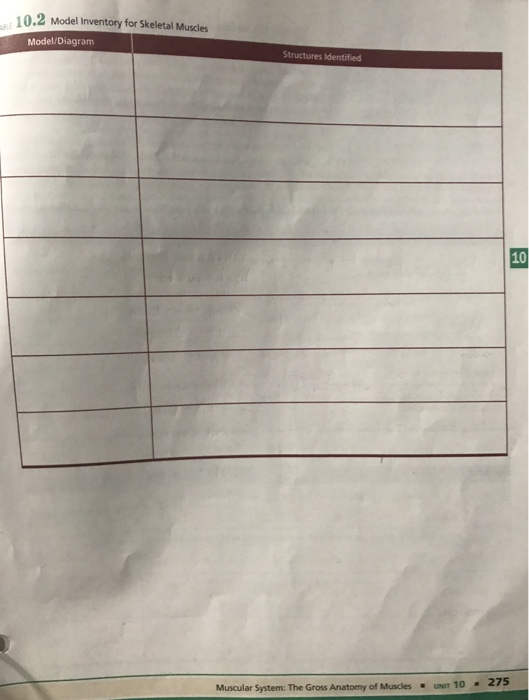 10.2 Model Inventory for Skeletal Muscles | Chegg.com