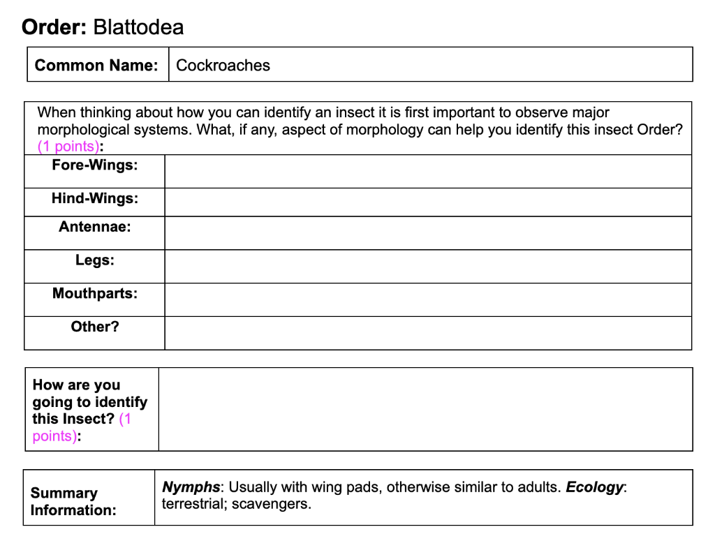 Solved Order: Blattodea Common Name: Termites When thinking | Chegg.com
