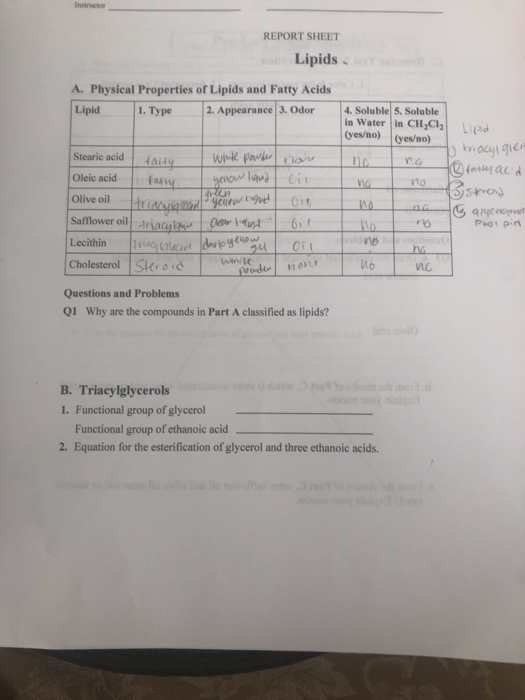 Solved Instructo REPORT SHEET Lipids A. Physical Properties | Chegg.com