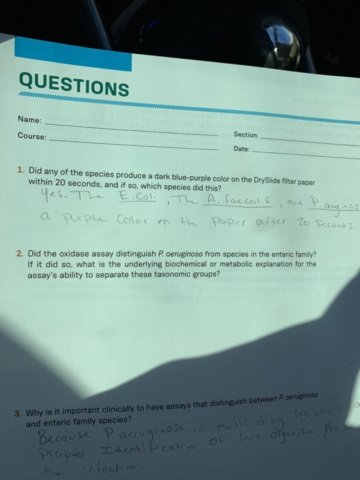 Solved QUESTIONS Name Course Section: Date: 1. Did any of | Chegg.com
