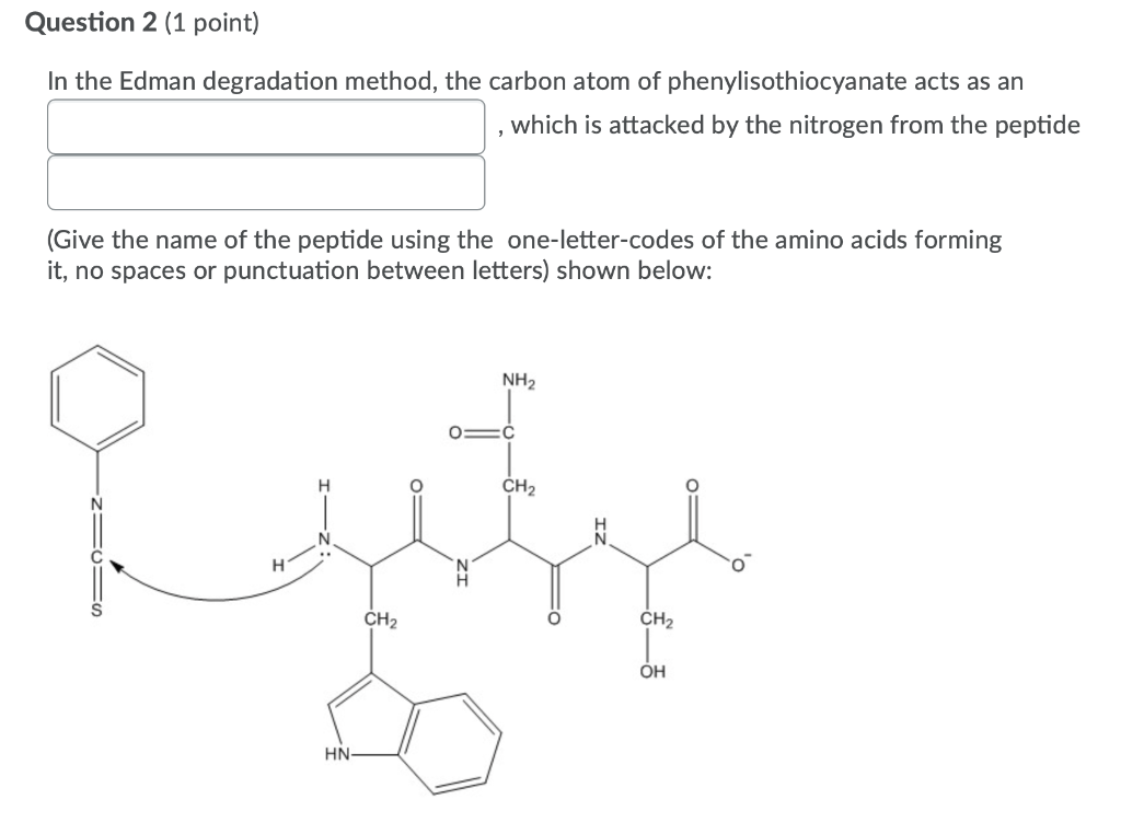 Solved Question 2 (1 point) In the Edman degradation method, | Chegg.com