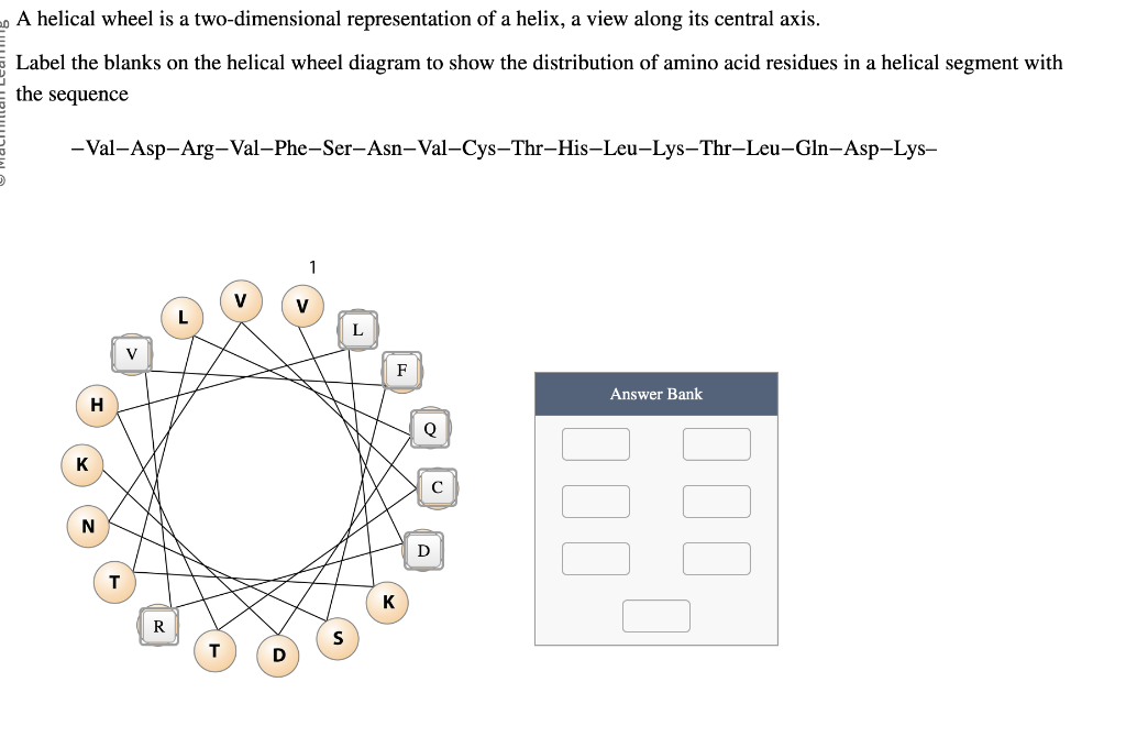 Solved A helical wheel is a two-dimensional representation | Chegg.com