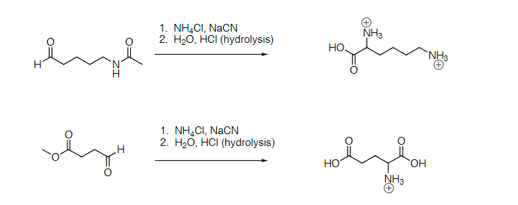 Solved 1. NH4CI, NaCN O 2. H20, HCI (hydrolysis) NH3 но. NH3 | Chegg.com
