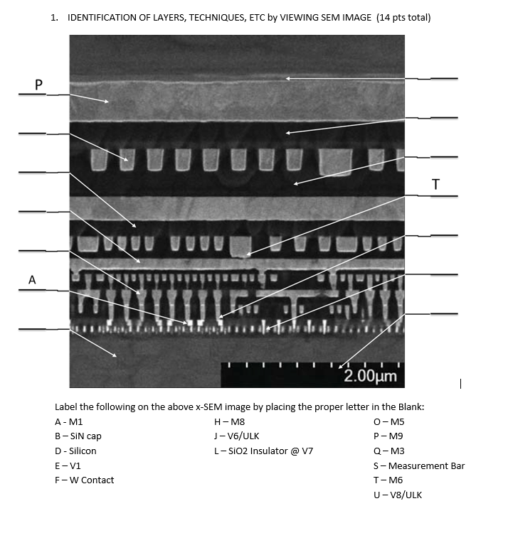 Solved 1. IDENTIFICATION OF LAYERS, TECHNIQUES, ETC by | Chegg.com