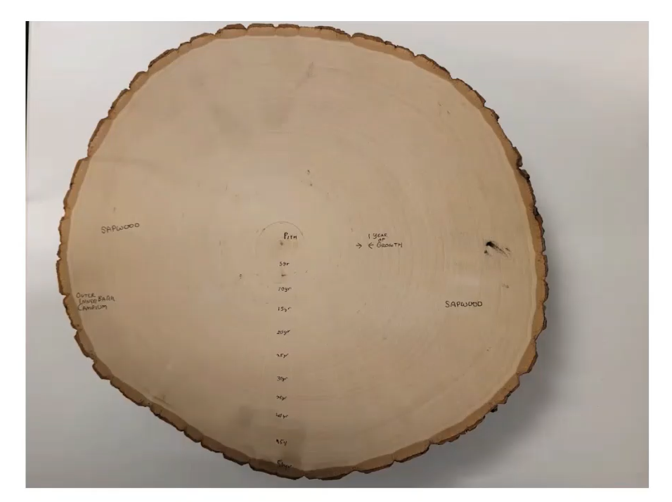 Solved Shown in this image is a cross section of a Seeder | Chegg.com