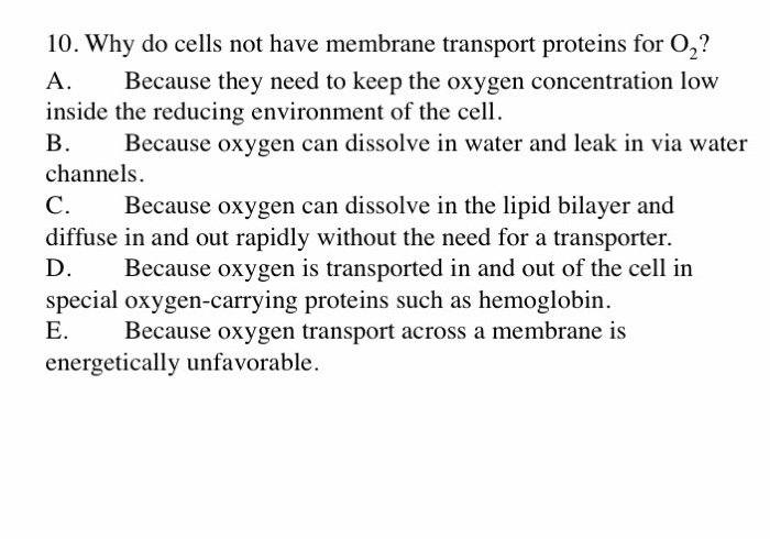 Solved 6. The lateral diffusion of a plasma membrane protein | Chegg.com