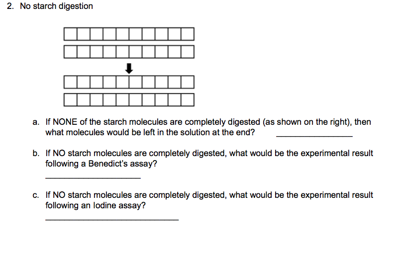 Solved 2. No starch digestion 1 a. If NONE of the starch | Chegg.com