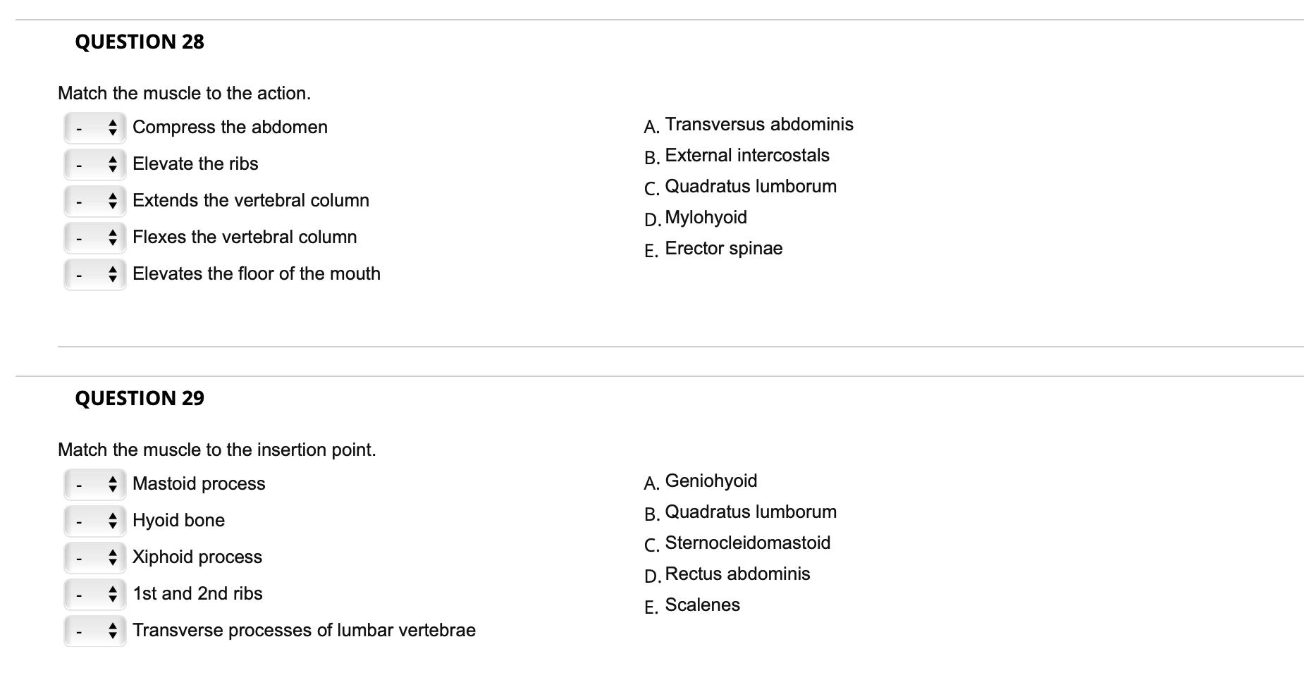 Solved QUESTION 28 Match the muscle to the action. A | Chegg.com