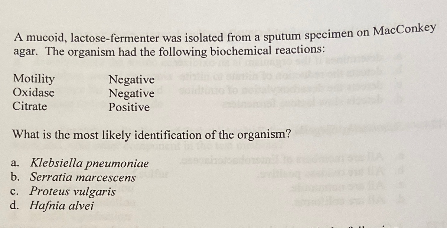 Solved A mucoid, lactose-fermenter was isolated from a | Chegg.com