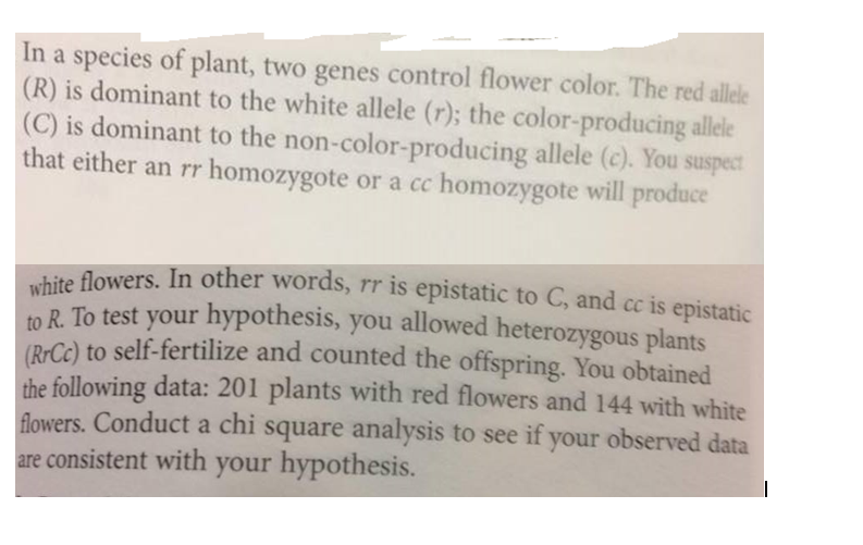 Solved In a species of plant, two genes control flower | Chegg.com