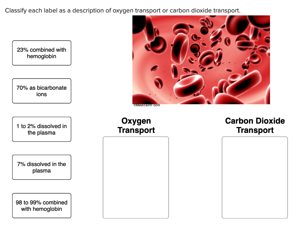 Solved Classify each label as a description of oxygen | Chegg.com