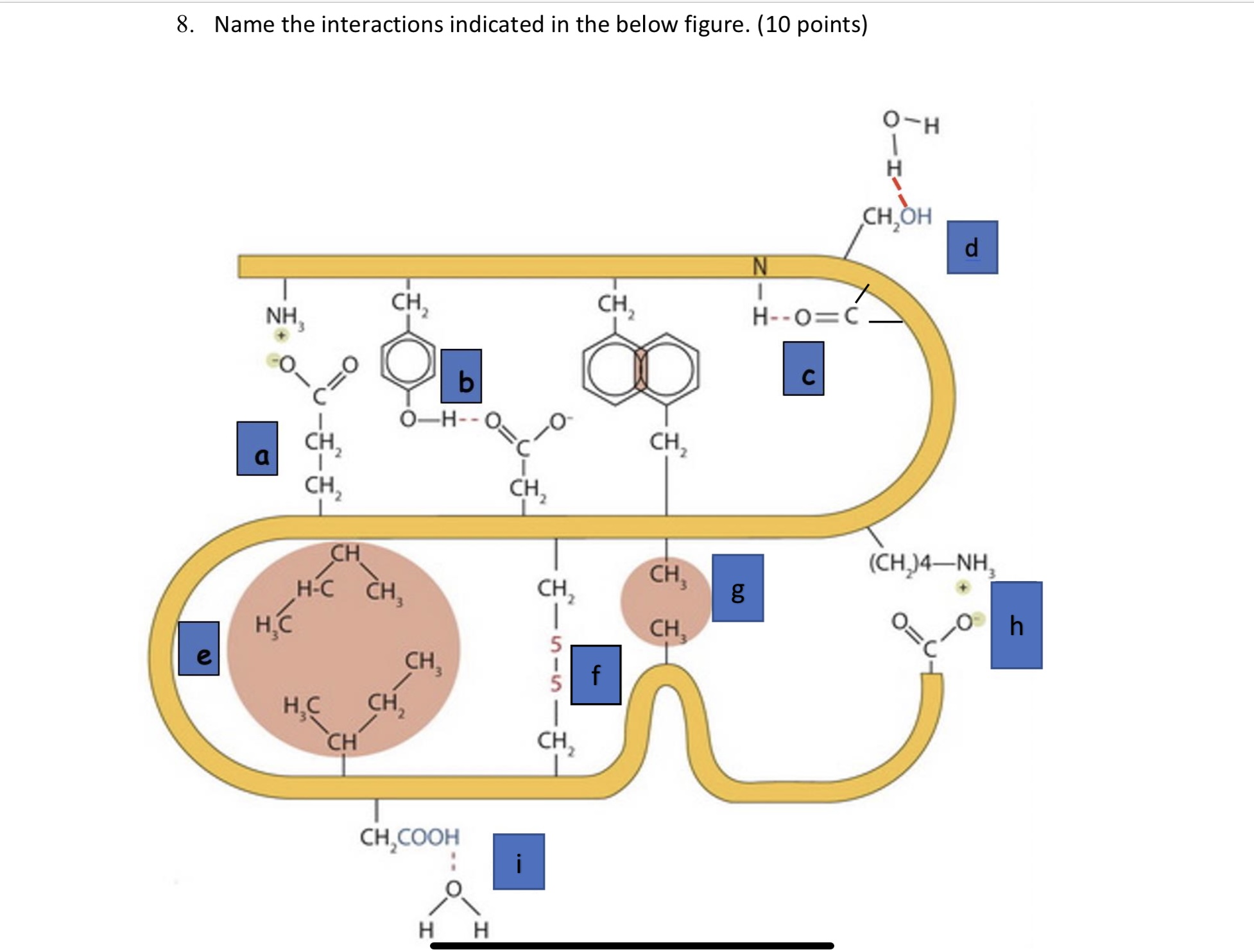 Solved Name the interactions indicated in the below figure. | Chegg.com