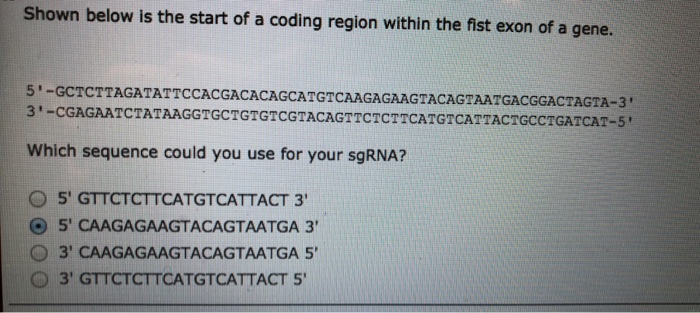 Solved Anyone please me to explain four questions below. I | Chegg.com