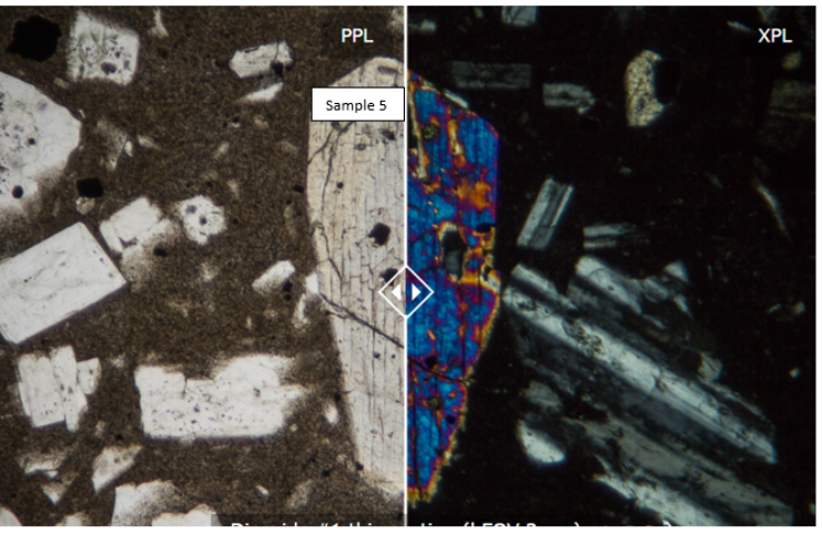 Solved Identify the optical properties under PPL | Chegg.com