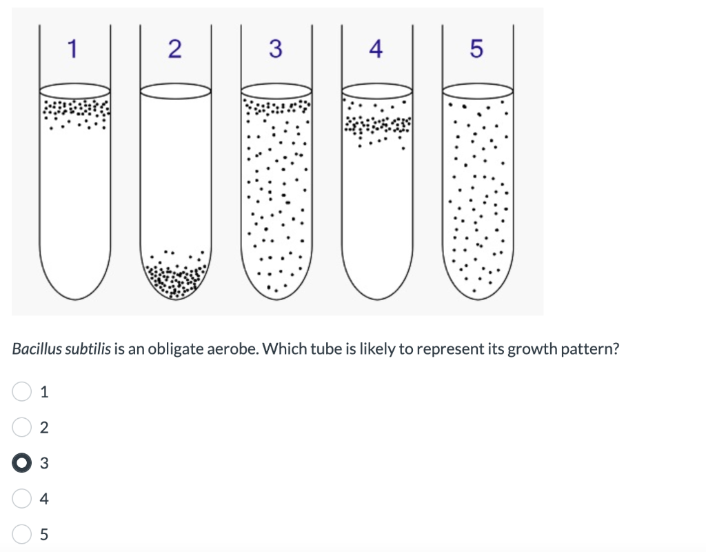Solved Bacillus subtilis is an obligate aerobe. Which tube | Chegg.com