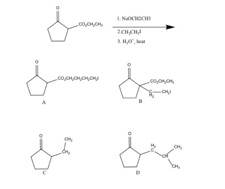 Solved 0 1. NaOCH2CH 2. HO 0 0 1. NaOCH2CH3 CO2CH2CH3 | Chegg.com