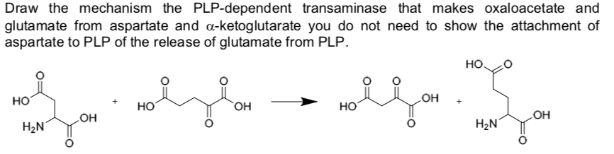 Solved Draw the mechanism the PLP-dependent transaminase | Chegg.com